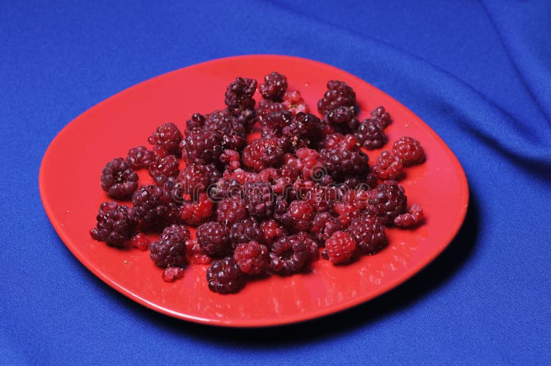 Raspberry on the plate. stock image. Image of plate, delicious - 11996163