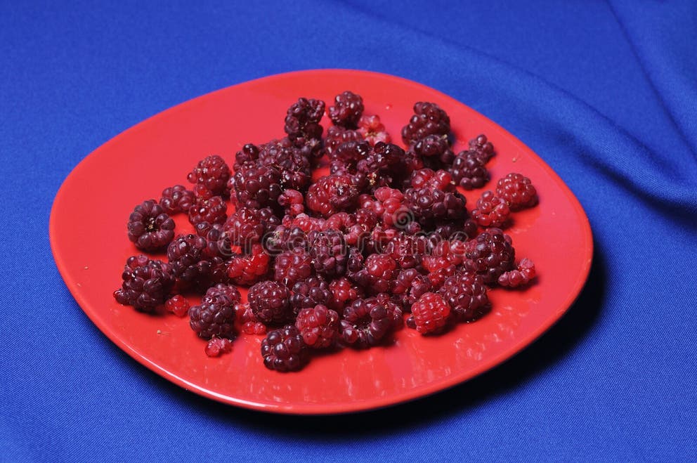 Raspberry on the plate. stock image. Image of plate, delicious - 11996163