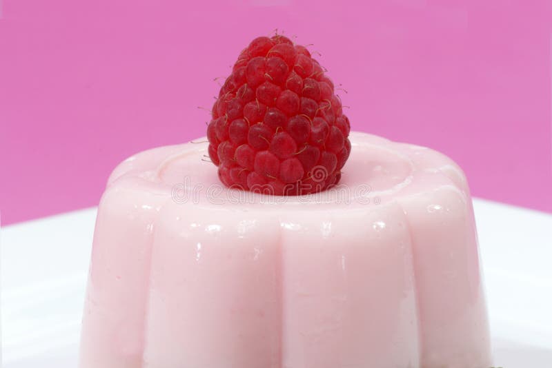 Raspberry pudding stock image. Image of fruit, dish, custar - 11409049