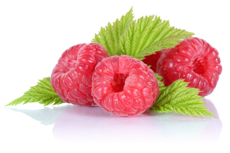 Raspberry Raspberries Berry Berries on White Stock Image - Image of ...