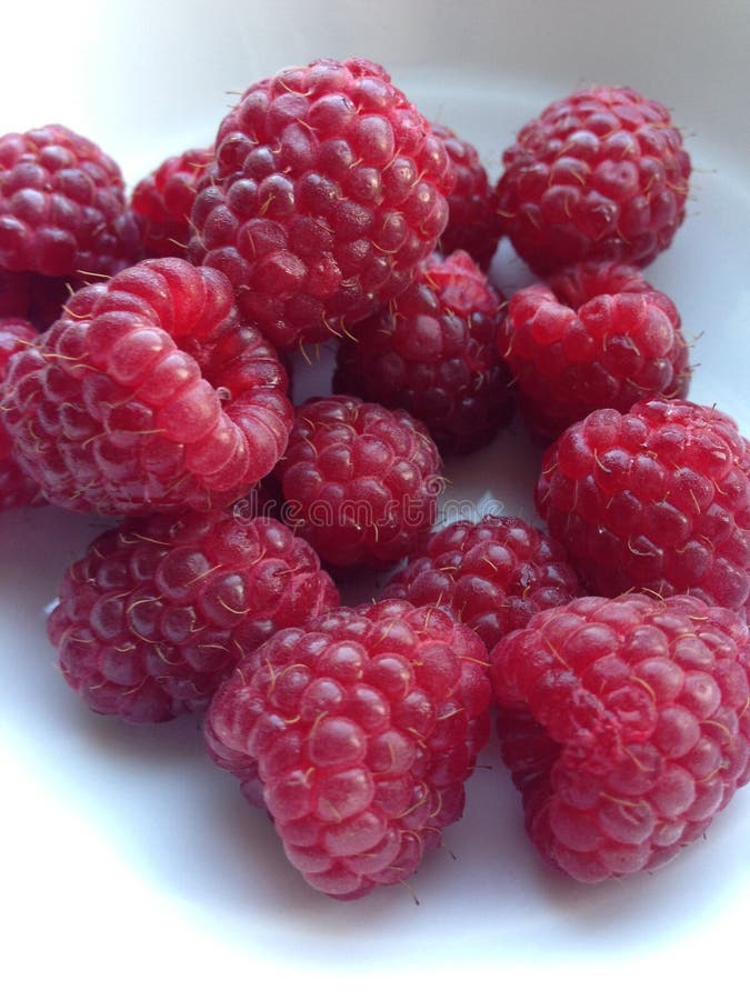 Raspberry stock image. Image of raspberries, berry, food - 80398163