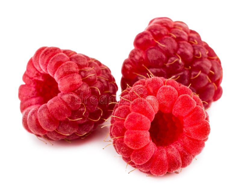 Raspberry. Raspberry Isolated. Raspberry on White Background Stock ...