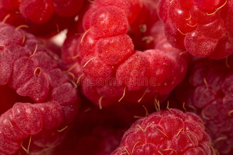 Raspberry. Raspberry. Raspberry Pattern. Raspberry Texture Stock Image ...
