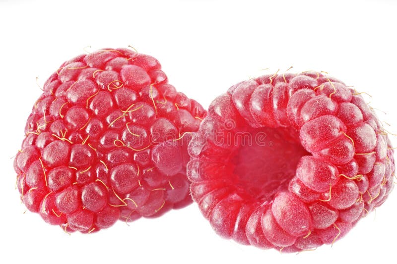 Raspberry real macro stock image. Image of shiny, studio - 10805091