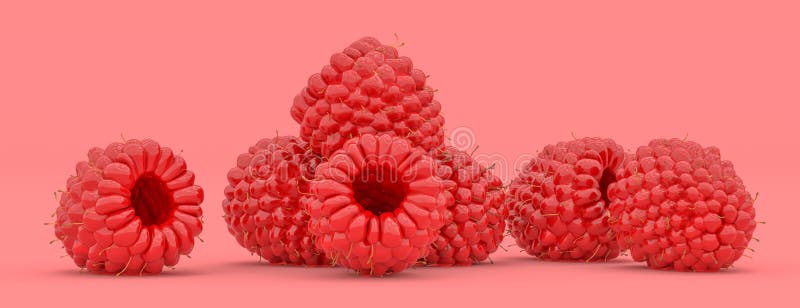 Raspberry on a Red Background Stock Illustration - Illustration of pink ...