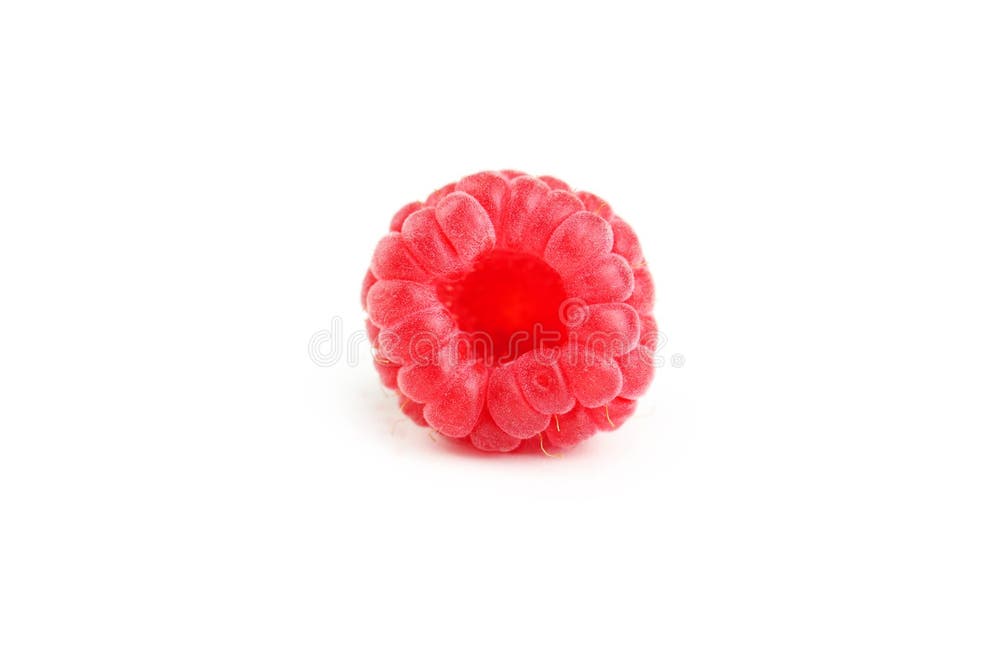 Raspberry stock photo. Image of nutrition, fresh, isolated - 71928582