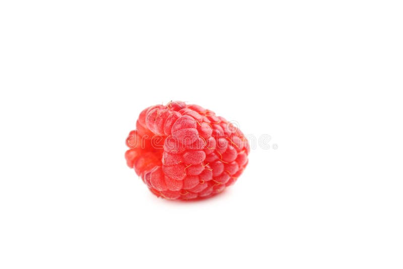 Raspberry stock photo. Image of fruity, gourmet, healthy - 83191026