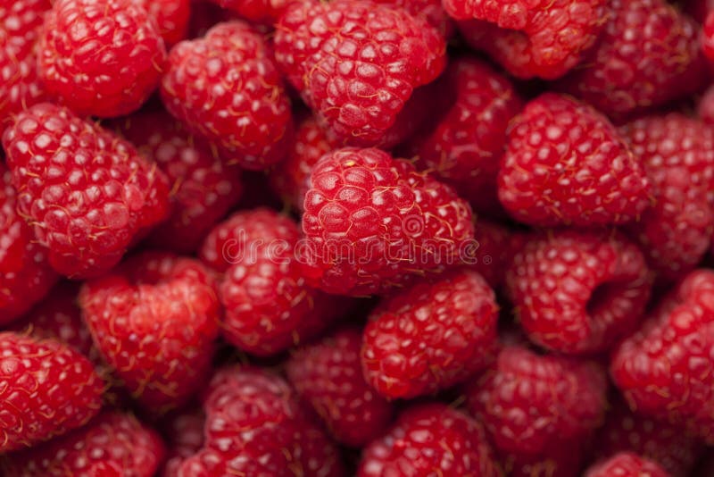 Raspberries stock image. Image of closeup, berries, fruit - 12162339
