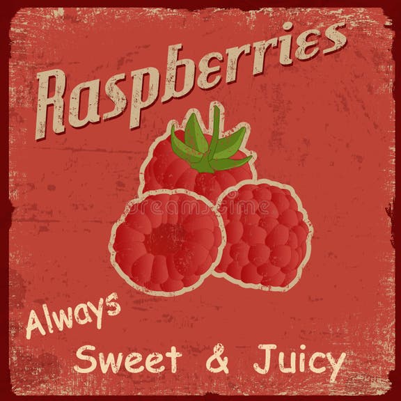 Raspberry retro poster stock vector. Illustration of fruit - 55807185