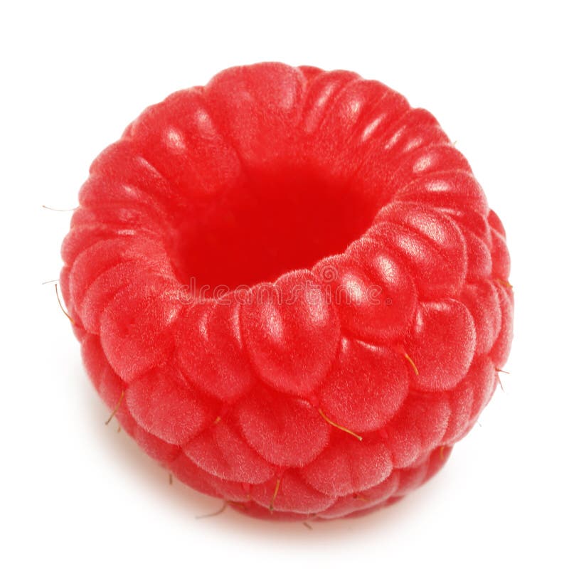 Raspberry branch isolated stock photo. Image of isolated - 32920704