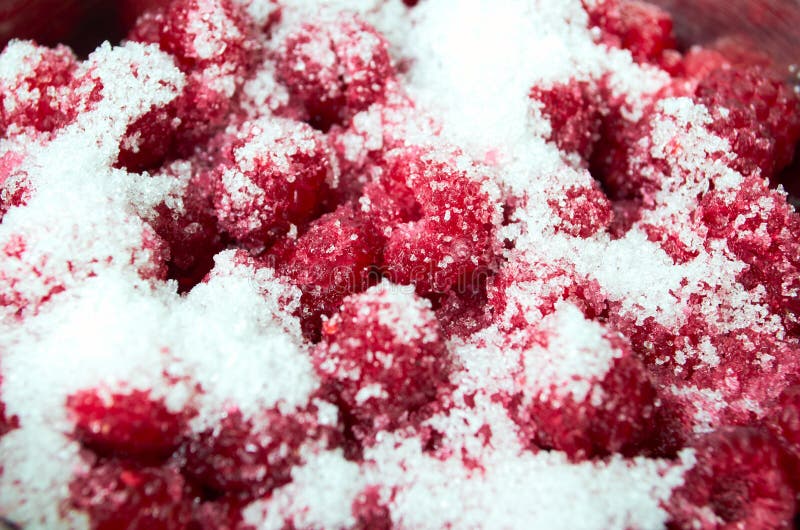 Raspberry stock image. Image of food, berry, raspberries - 32582169