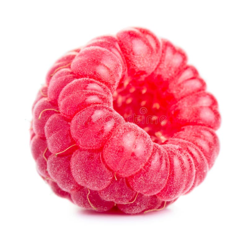 Raspberry stock image. Image of berry, ripe, vitamins - 30460087
