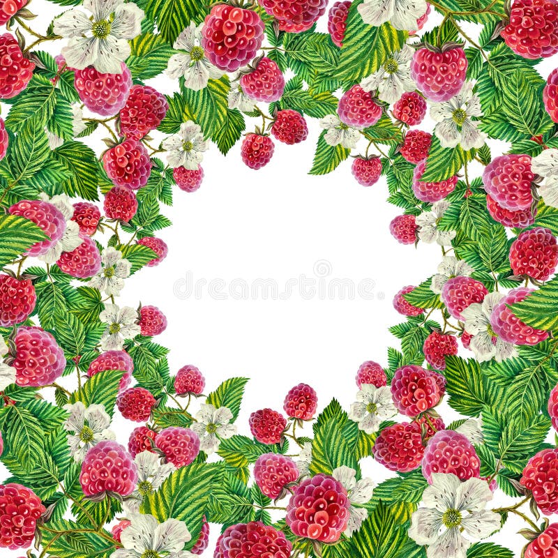 Raspberry. Round Frame with Raspberry Branches with Berries and Leaves ...