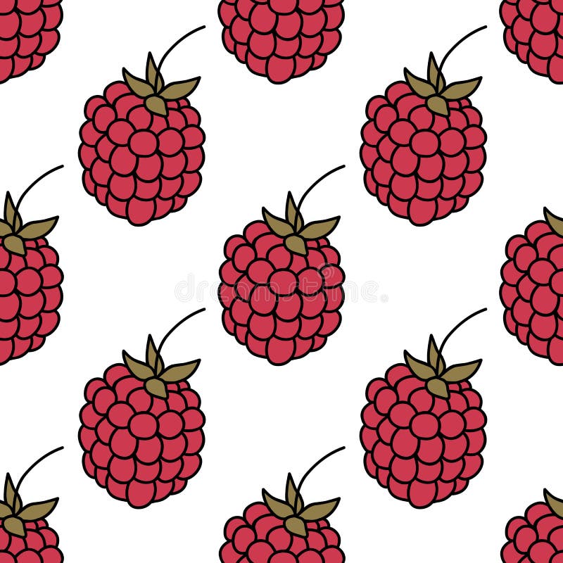 Raspberry Seamless Doodle Pattern Stock Illustration - Illustration of ...