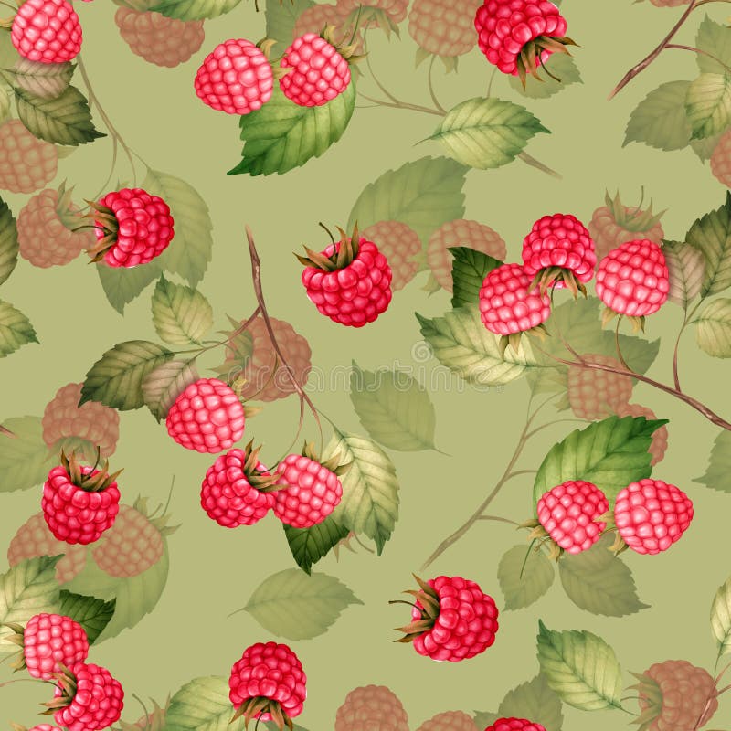 Raspberry Seamless Pattern with Berries and Leaves, Hand-drawn ...