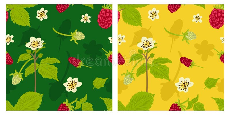 Raspberry Blossom Stock Illustrations – 1,018 Raspberry Blossom Stock ...