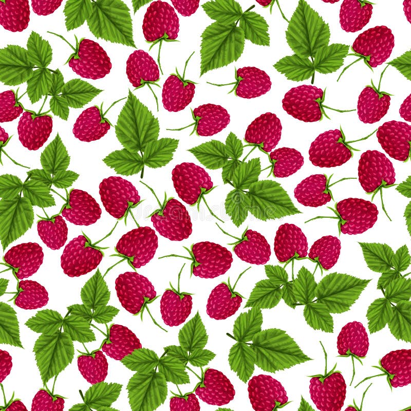 Raspberry Seamless Pattern for Your Design Stock Vector - Illustration ...
