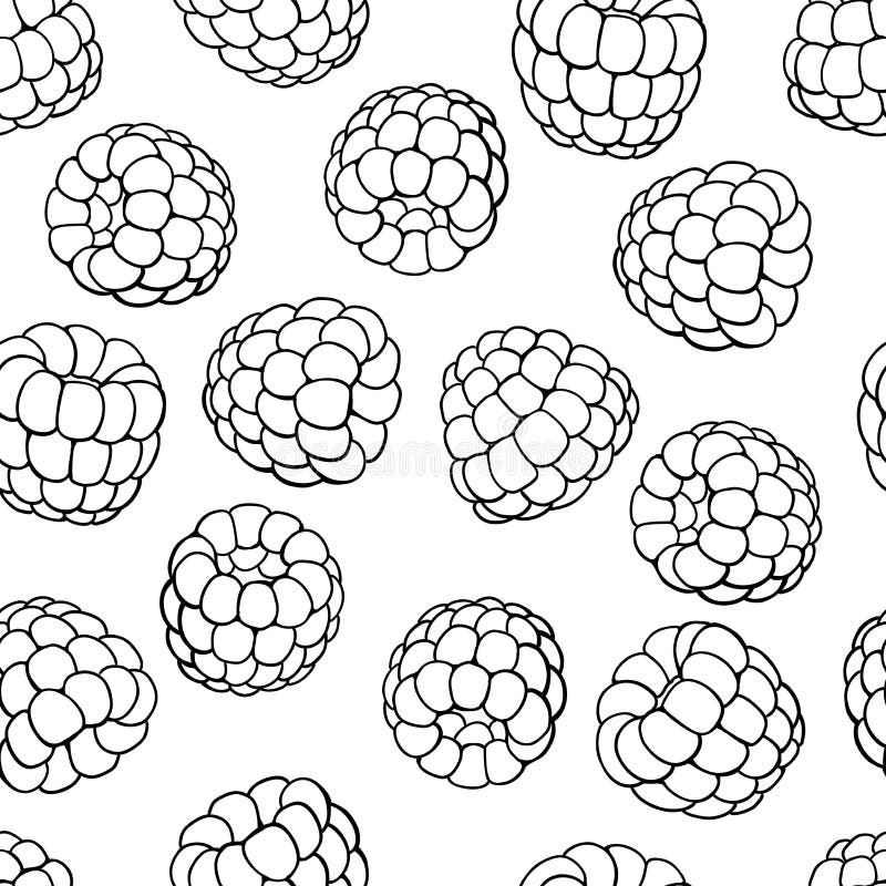 Raspberry Seamless Pattern. Vector Drawing. Isolated Berry Branc Stock ...