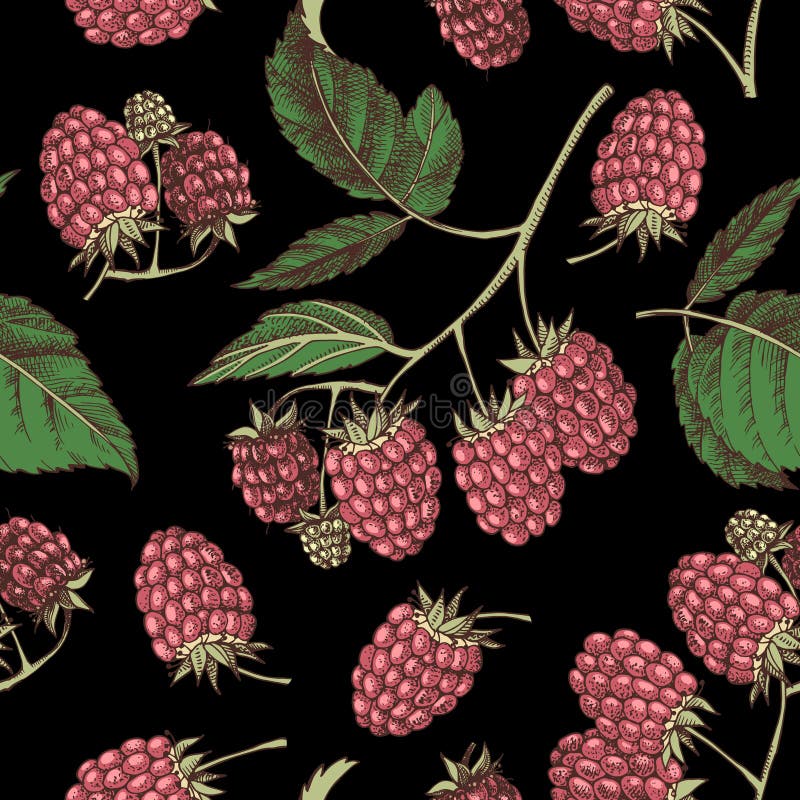 Raspberry Seamless Pattern Vector Illustration Stock Vector ...