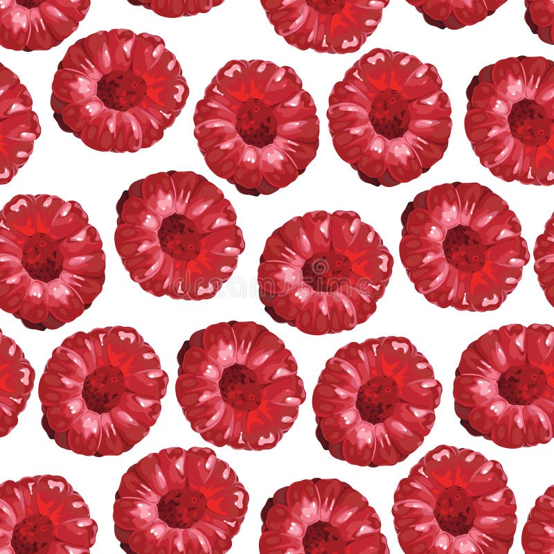 Raspberry seamless pattern stock vector. Illustration of graphics ...