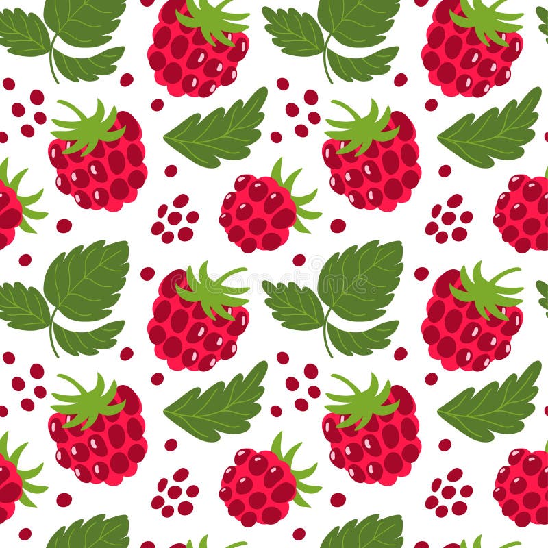 Raspberry Seamless Pattern. Vector Summer Berries Repeat Background ...