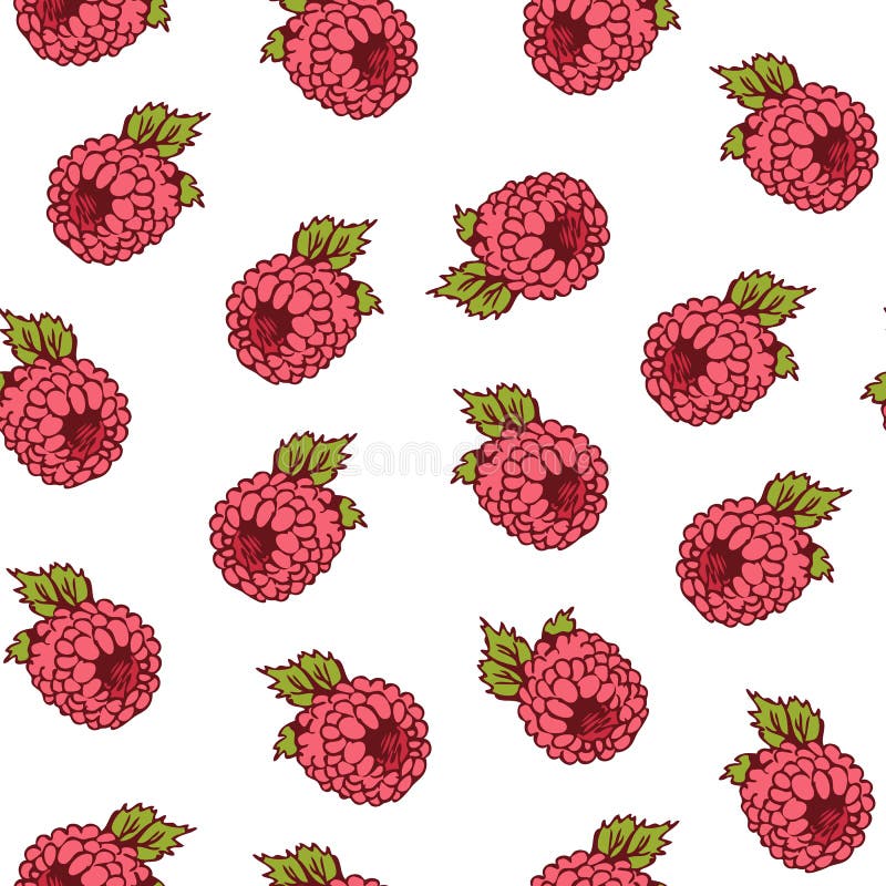 Raspberry Seamless Vector Pattern, Colorful Berry Isolated on White ...