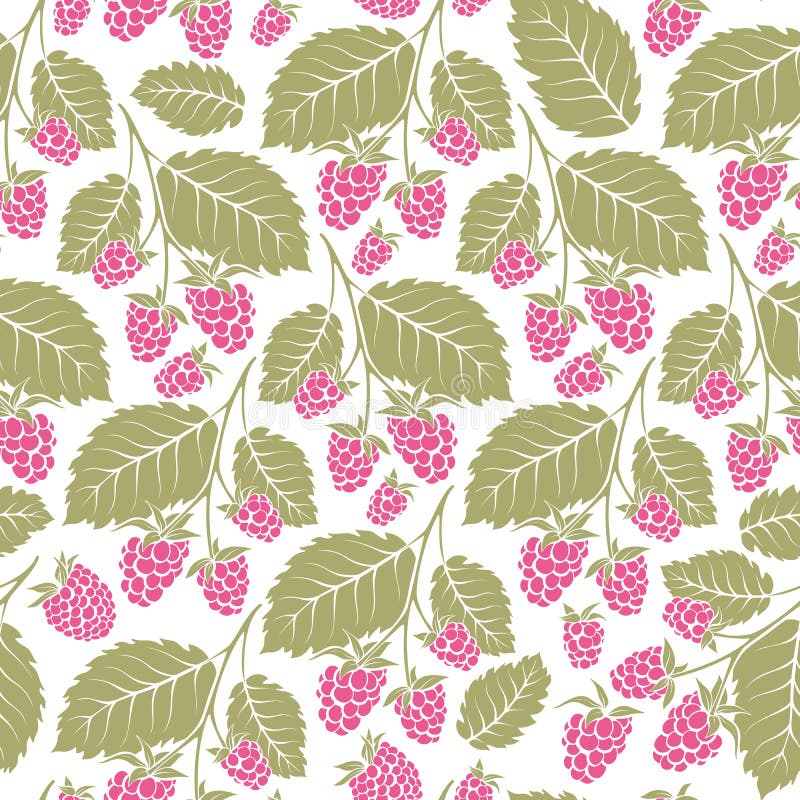 Raspberry Seamless Vector Pattern. Stock Illustration - Illustration of ...