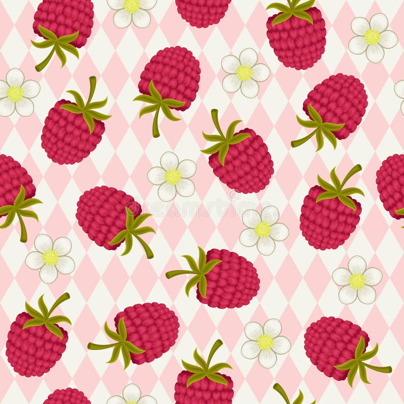 Raspberry Blossom Stock Illustrations – 681 Raspberry Blossom Stock ...