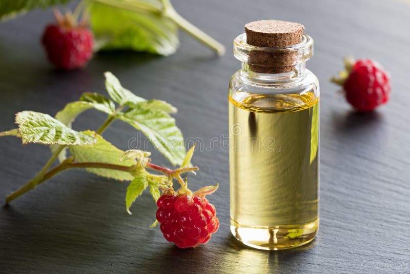 Raspberry Seed Oil in a Bottle with Fresh Raspberries Stock Image ...
