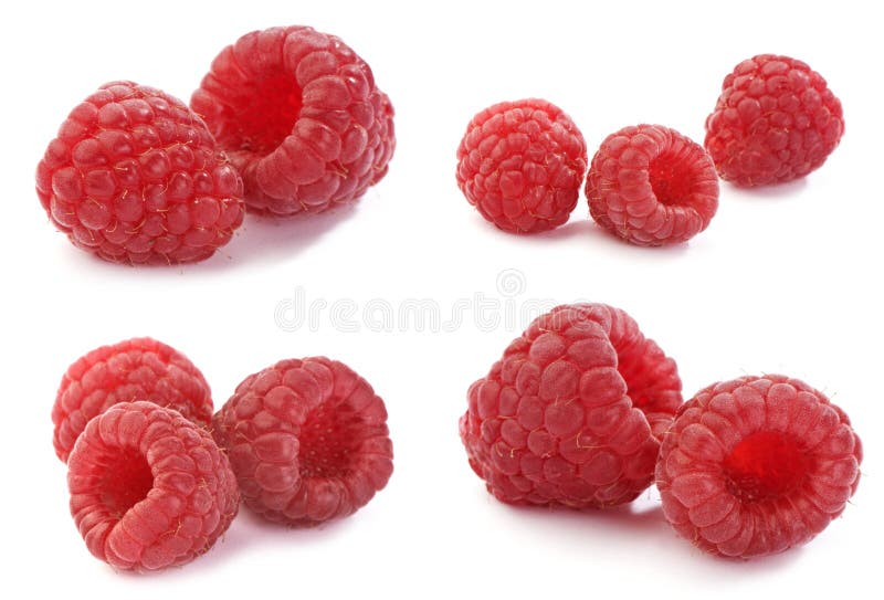 Collection of Raspberry Isolated on White Background Stock Photo ...