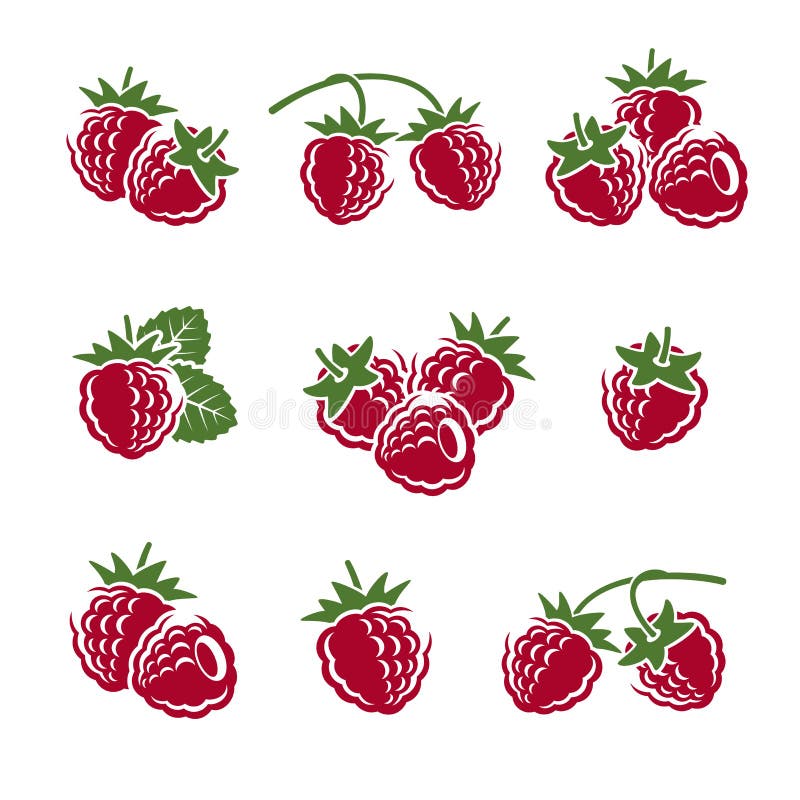 Raspberry set. Vector stock vector. Illustration of label - 56954234