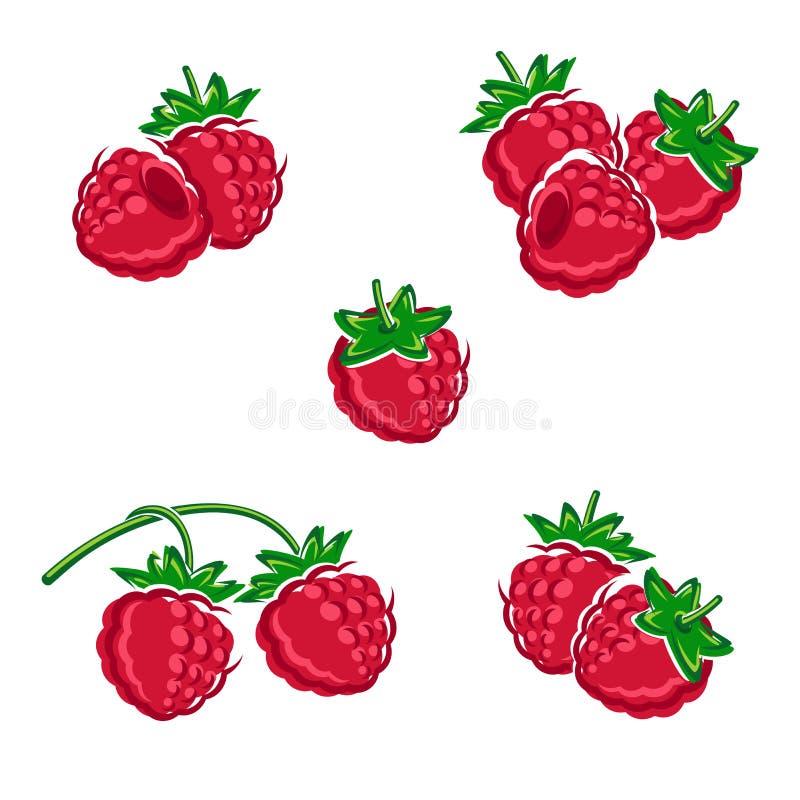 Raspberry set. Vector stock vector. Illustration of icon - 56954362