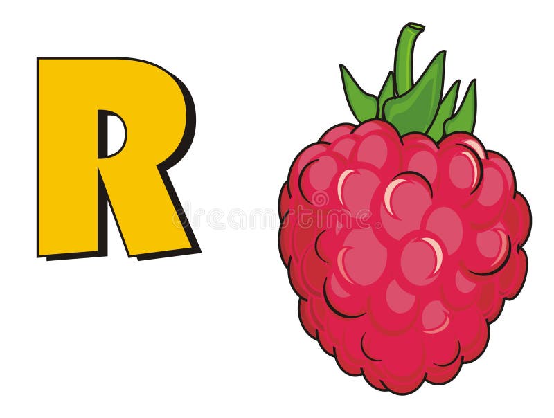 Useful Raspberry Stock Illustrations – 212 Useful Raspberry Stock ...
