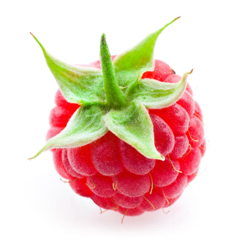 Raspberry. Single Fruit Isolated On White Stock Image - Image of sweet ...