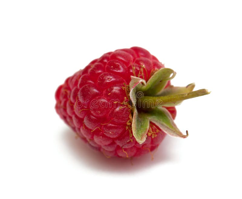 Raspberry stock photo. Image of nature, green, healthy - 36445862