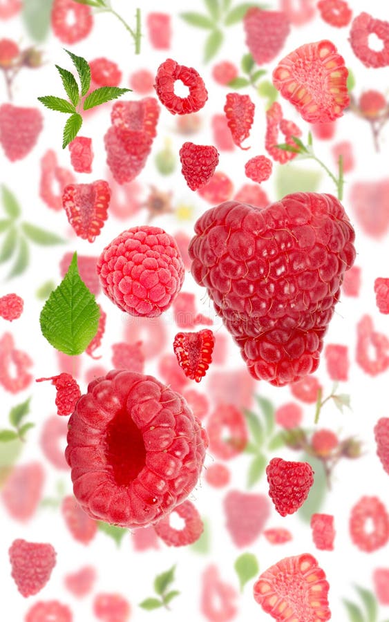 Raspberry Slice and Leaf Abstract Stock Image - Image of berry, large ...