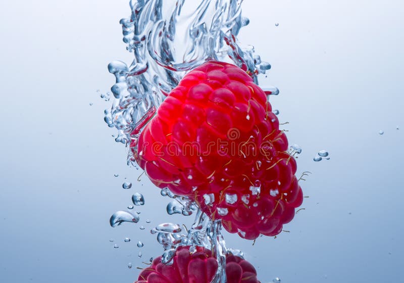 Raspberry splash in water stock illustration. Illustration of fresh ...