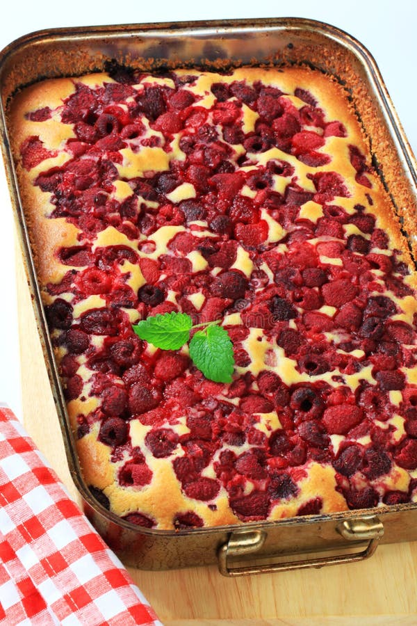 Raspberry sponge cake stock image. Image of shot, cookware - 60832927