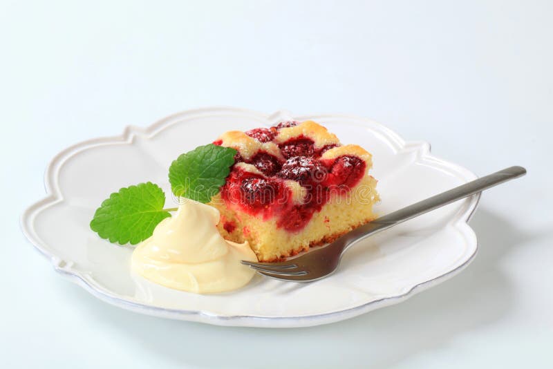 Raspberry Sponge Cake Slice Stock Image - Image of cake, piece: 60832977
