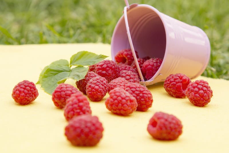 Raspberry Spread on the Table Stock Photo - Image of freshness ...