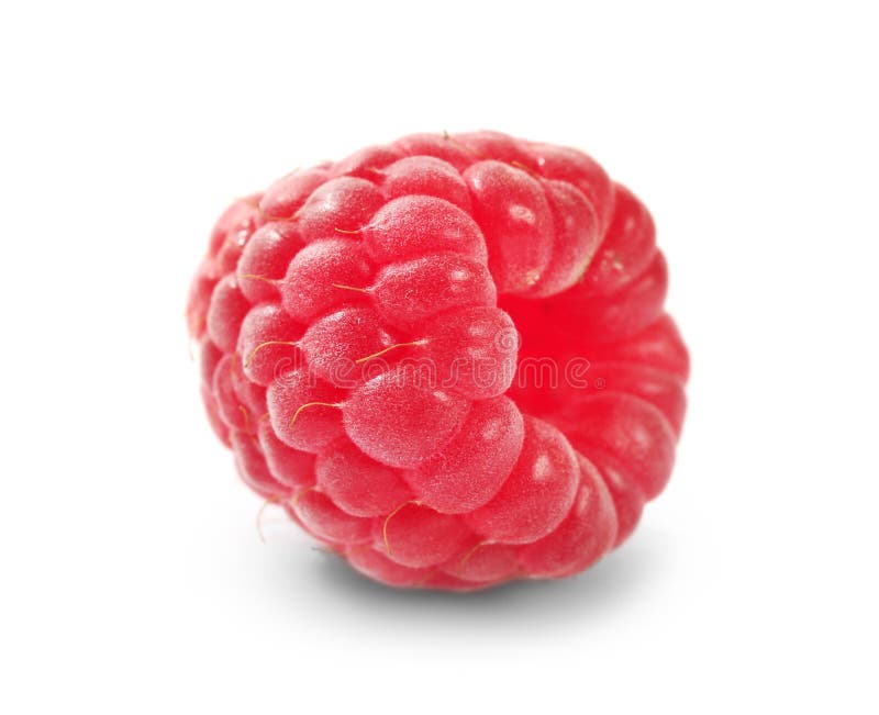 Raspberry without Stem on Isolation Close-up Stock Image - Image of ...