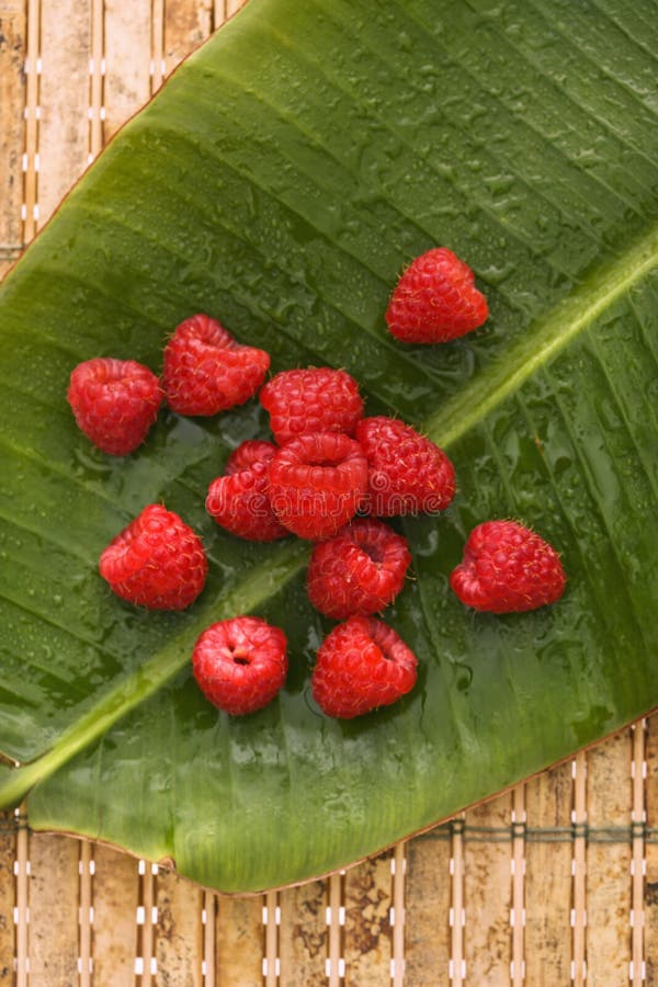Raspberry still life. stock photo. Image of color, berries - 3531726