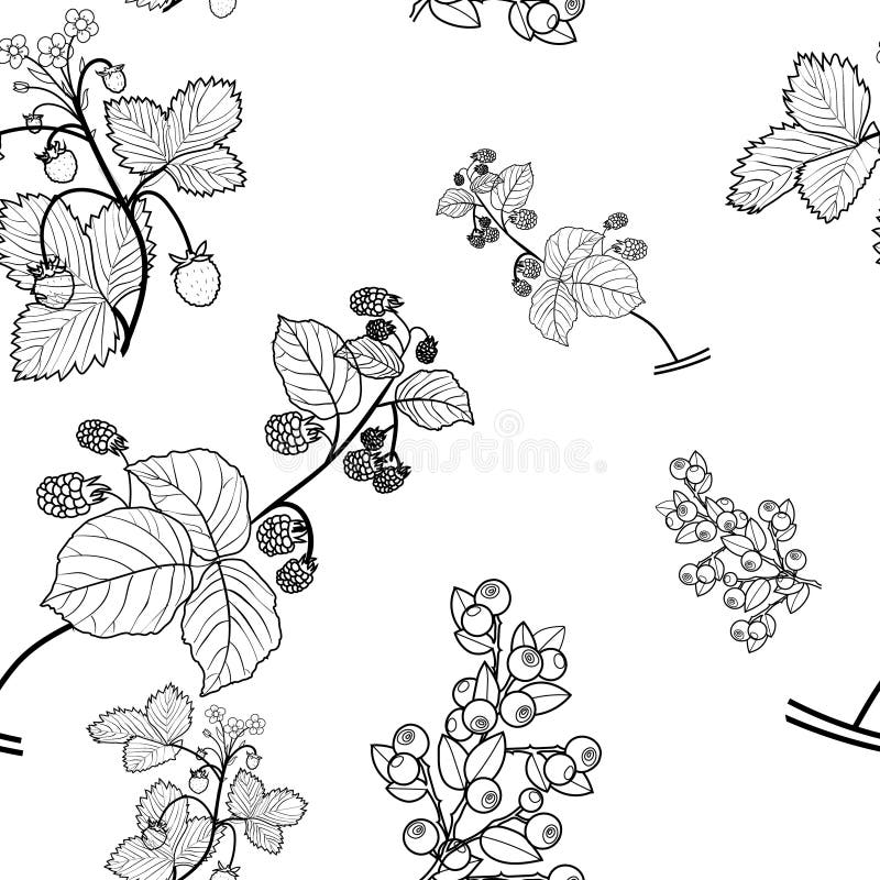 Raspberry, Strawberry, Blueberry Seamless Pattern, Black Drawing ...