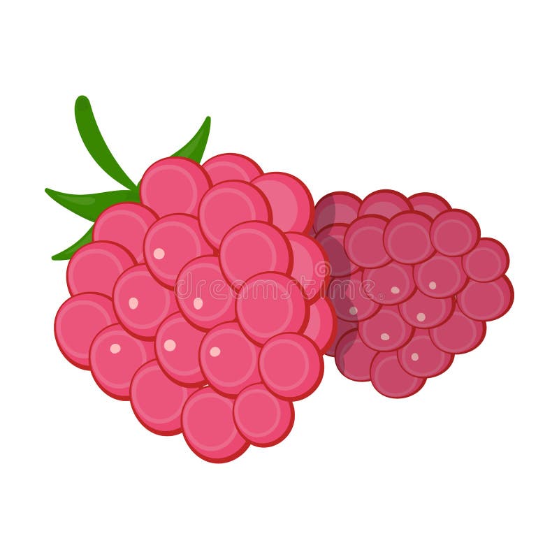 Raspberry, Sweet Fruit.Fruit Single Icon in Cartoon Style Vector Symbol ...