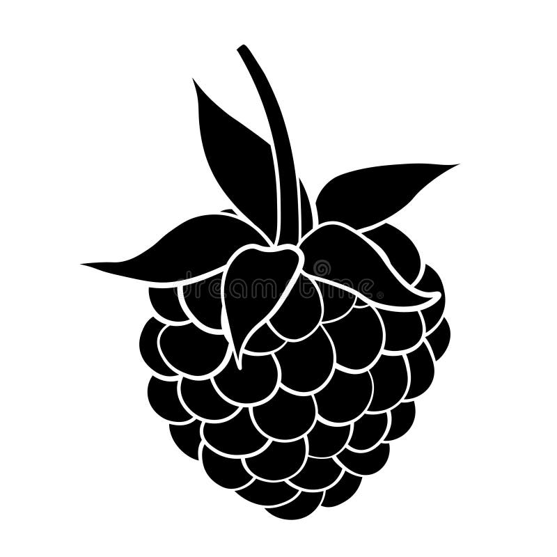 Set of Raspberry Green Leaves Illustration for Web Isolated on White ...