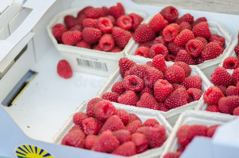 Raspberry stock image. Image of shoping, luscious, dainty - 34497319