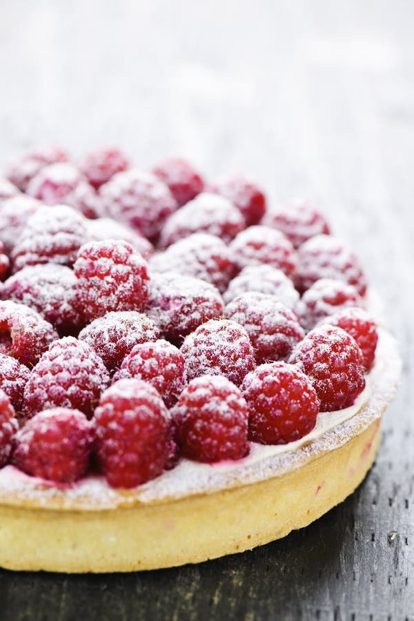Raspberry tart stock image. Image of flan, indulgence - 13692349