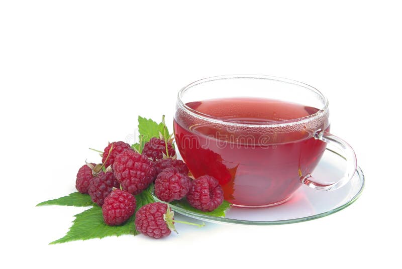 Raspberry tea 01 stock image. Image of plants, ptisan - 6404107