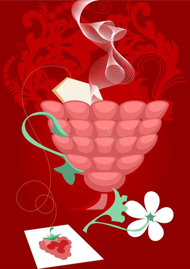 Raspberry tea stock vector. Illustration of ornament - 13362095