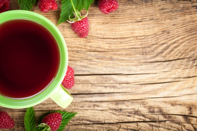 Tea stock photo. Image of close, leaf, green, tree, fresh - 11821902